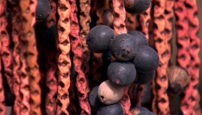 Apelidos das capitais brasileiras - Nas estradas do planeta